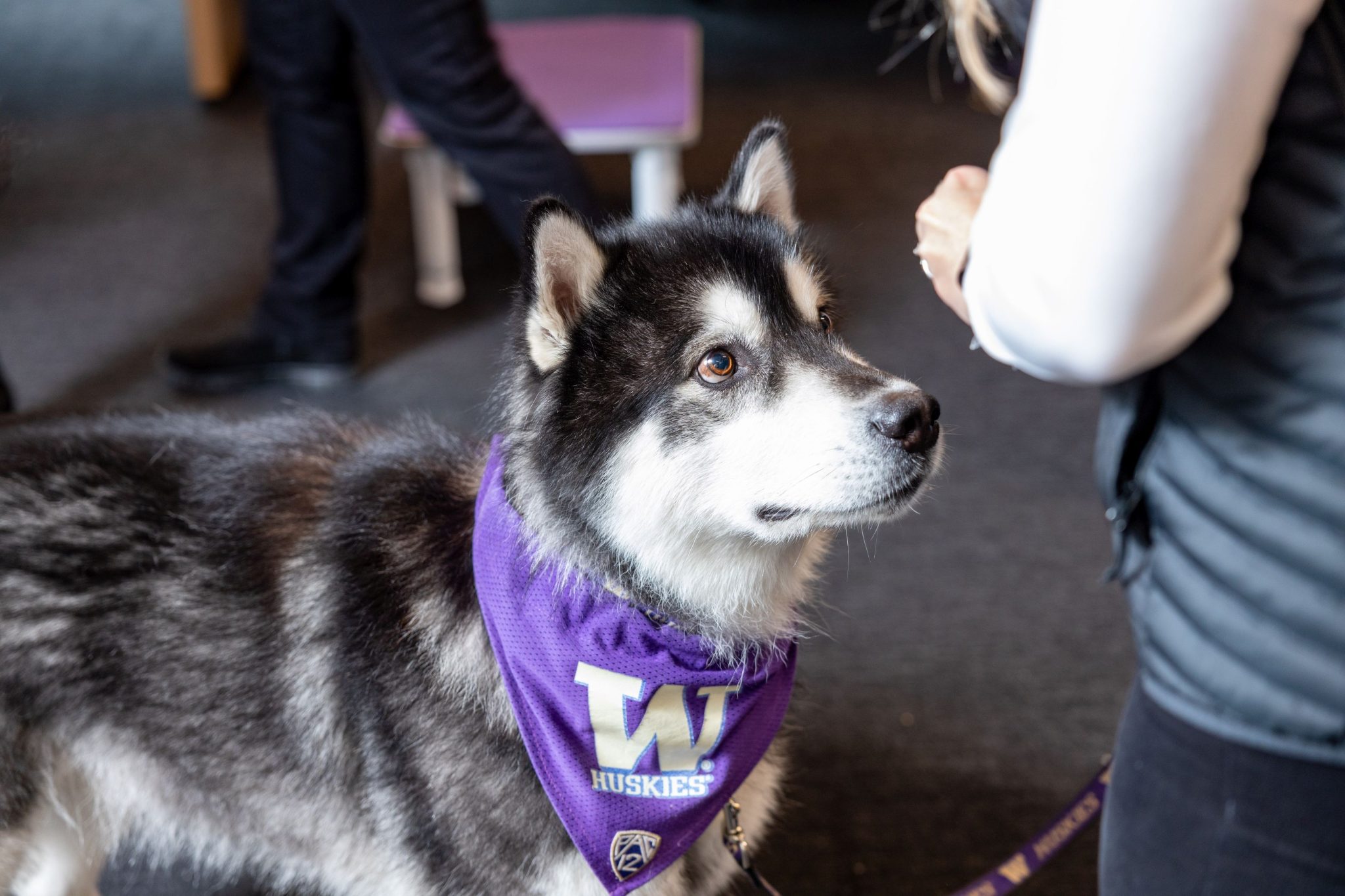 Li Lu Library Grand Opening | UW Health Sciences Library